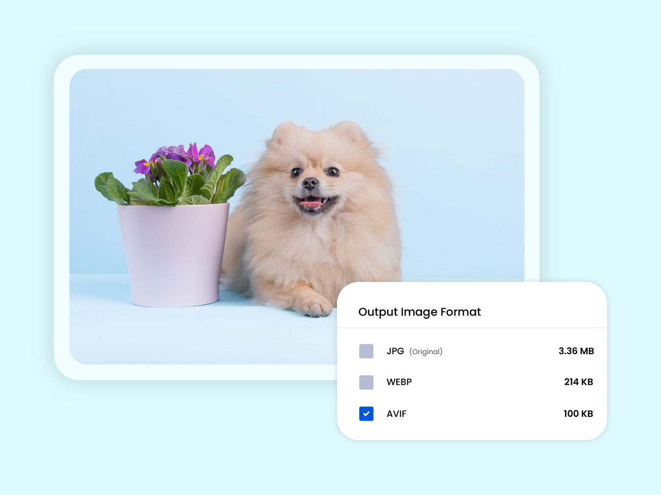 Image API for a perfect image delivery | ImageKit.io